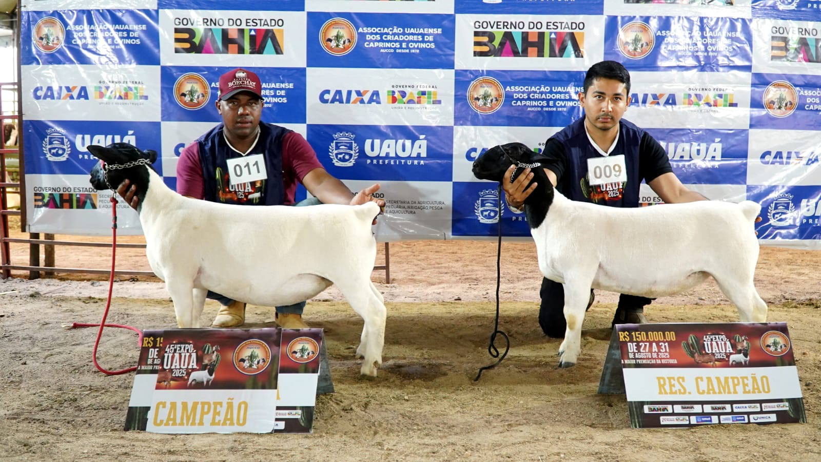 Uauá recebe criadores de ovinos e caprinos de 8 estados no Expo Uauá ...