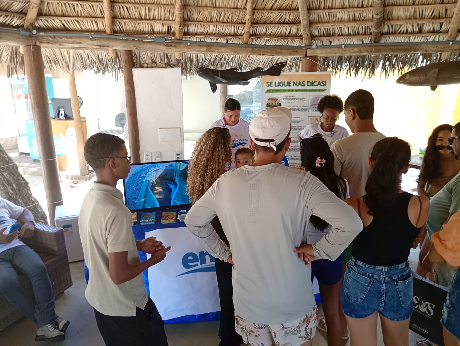 Ação educativa da Embasa no Projeto Tamar segue até amanhã (1º) em ...
