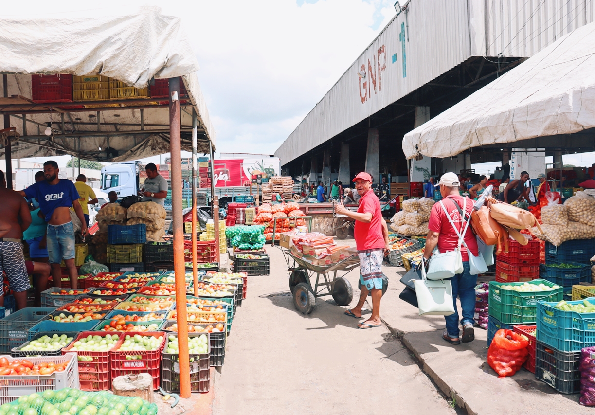 Ceasa completa 50 anos de atuação na comercialização de alimentos ...