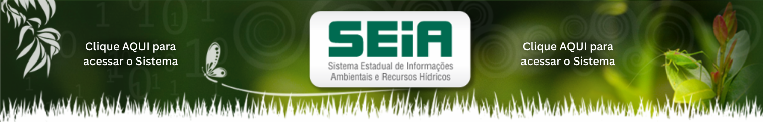 Sistema Estadual de Informações Ambientais e de Recursos Hídricos ...