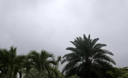 Início | Inema - Instituto do Meio Ambiente e Recursos Hídricos
