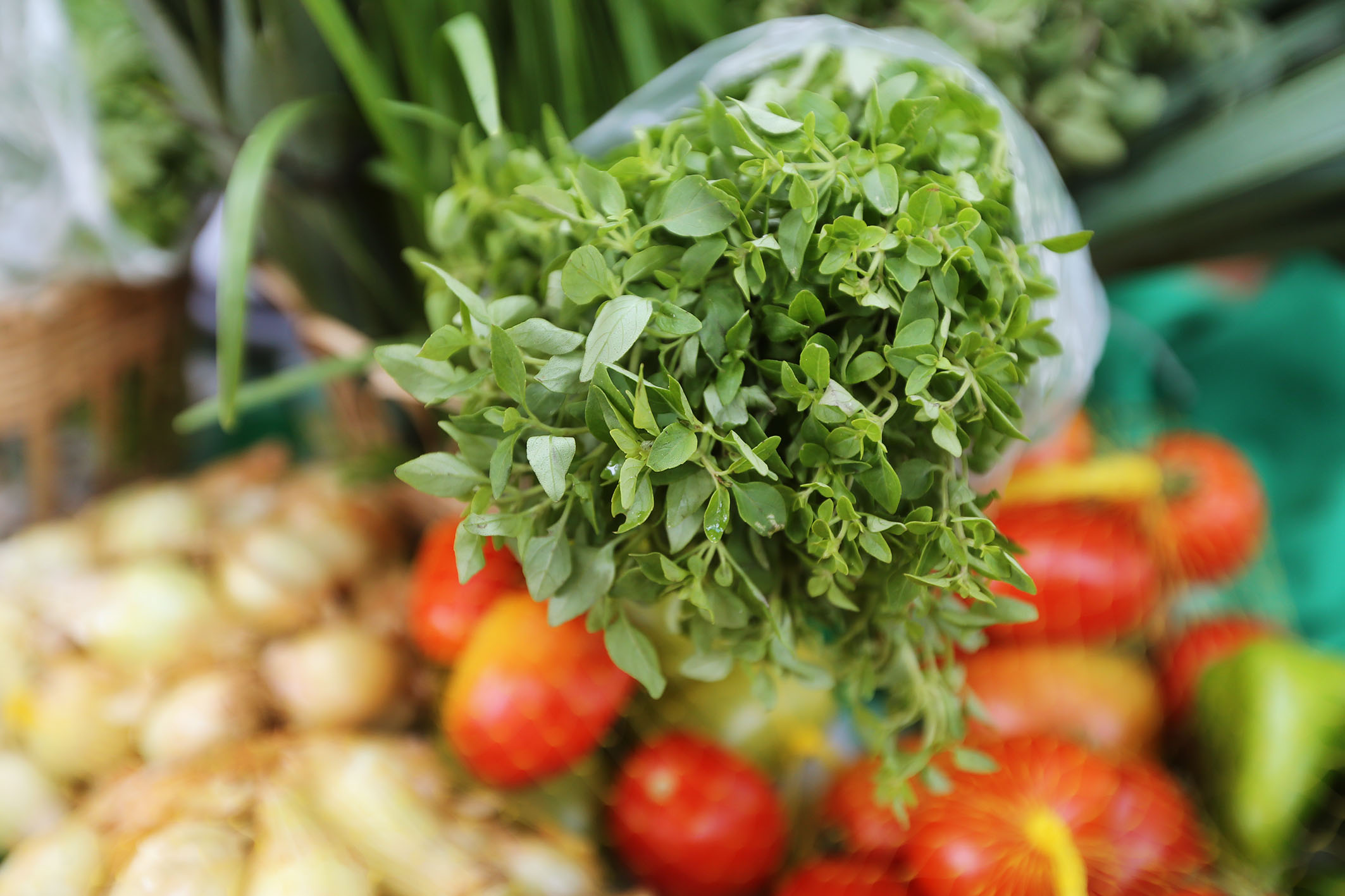 Feiras Agroecológicas trazem produtos da agricultura familiar para a ...